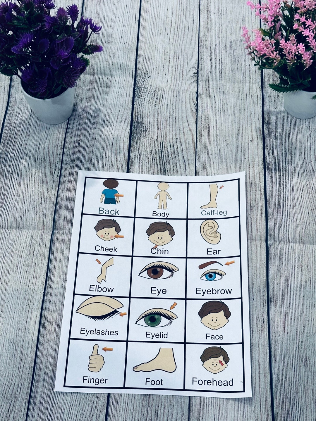 Autism 500 Communication Pictures Cards Book or Binder Bundle Speech ...