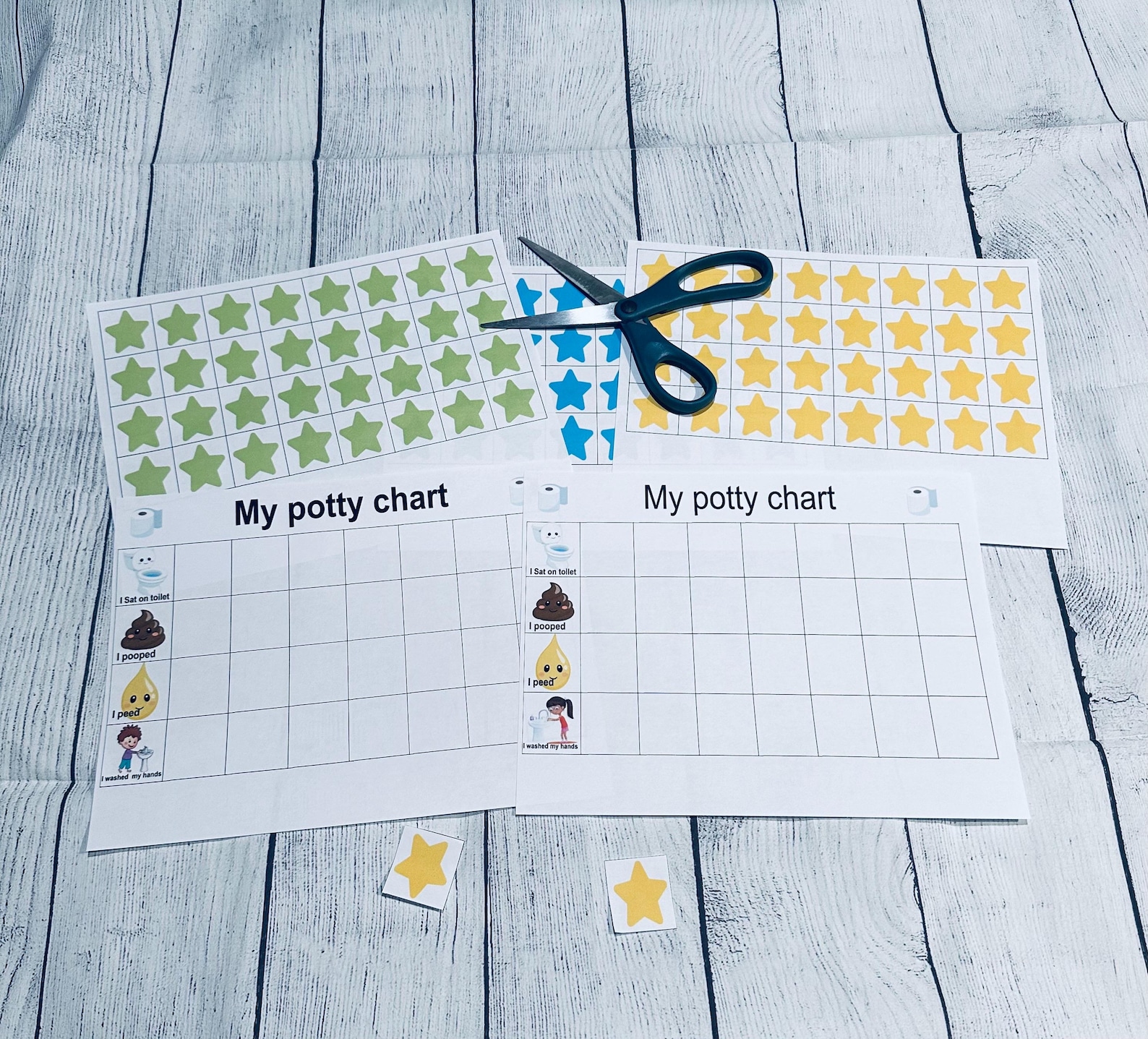 Potty Training Board, Boy / Girls, Potty Chart, Potty Token, Potty ...