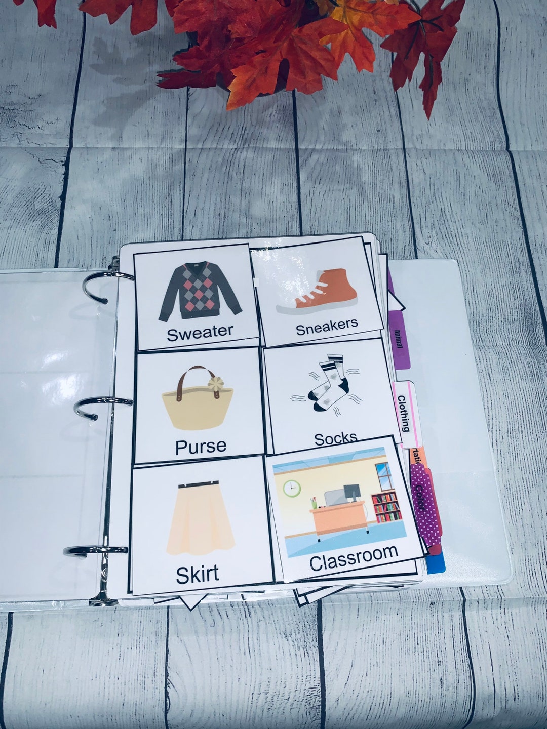 200 Extra Large Pictures Cards for Communication, Speech Delays Therapy ...