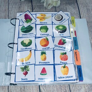 300 Bundle Pictures Card for Communication Speech Therapy, Autism Non ...