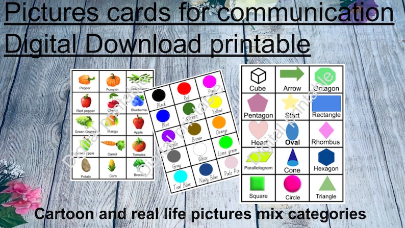 Autism Communication Pictures Cards Book or Binder Bundle of 300 ...