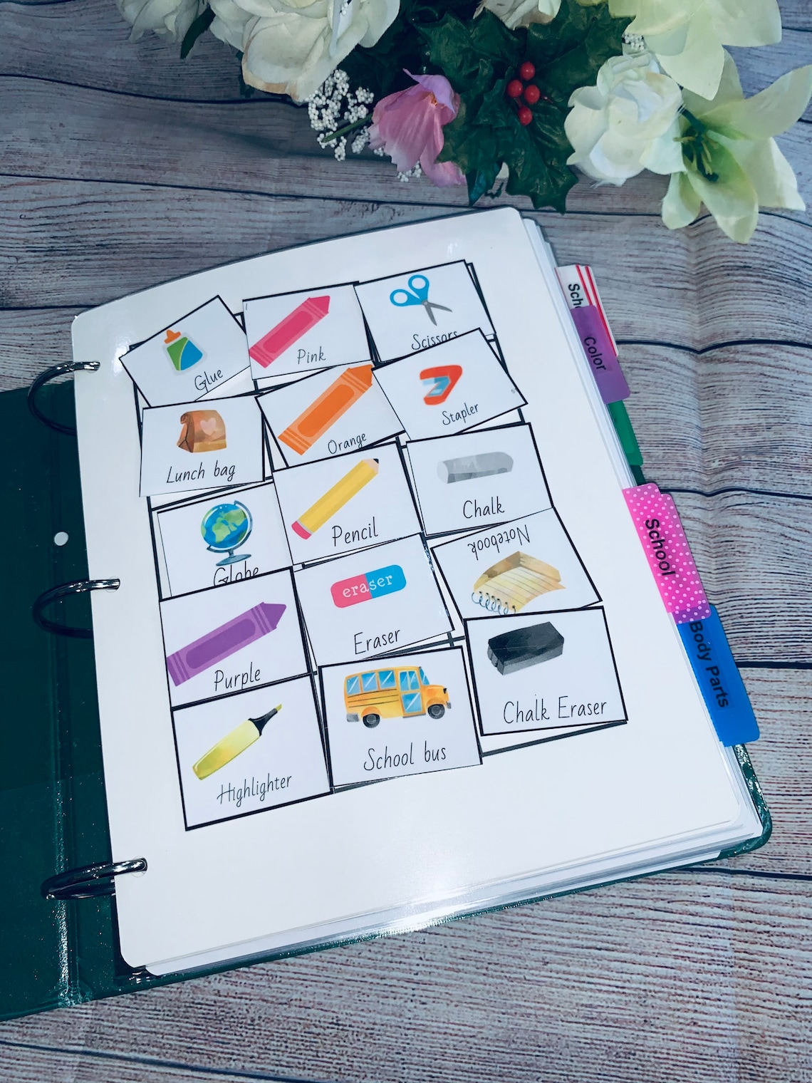 Pictures Cards for Communication Book/binder, Bundle of 210 ...