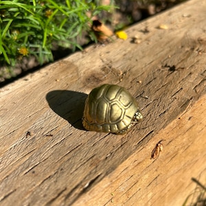 Small Brass Turtle - Etsy