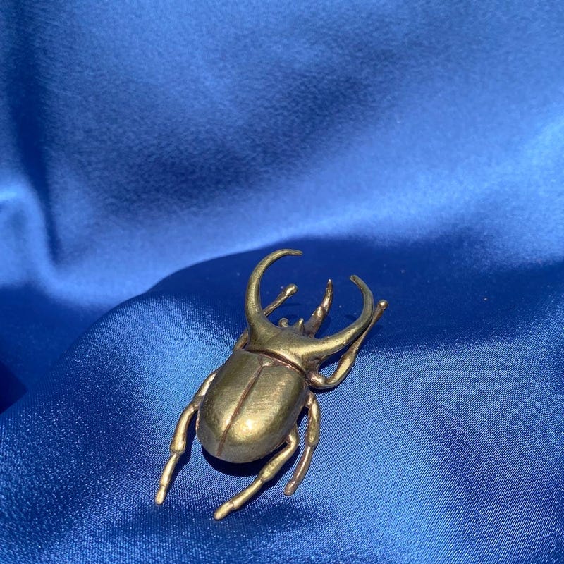 Beetle for Wall Silver - Etsy UK