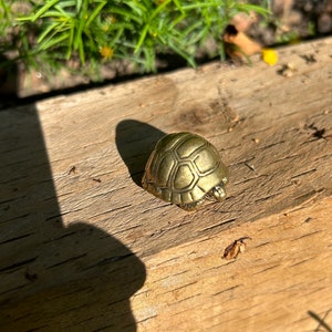 Small Brass Turtle - Etsy
