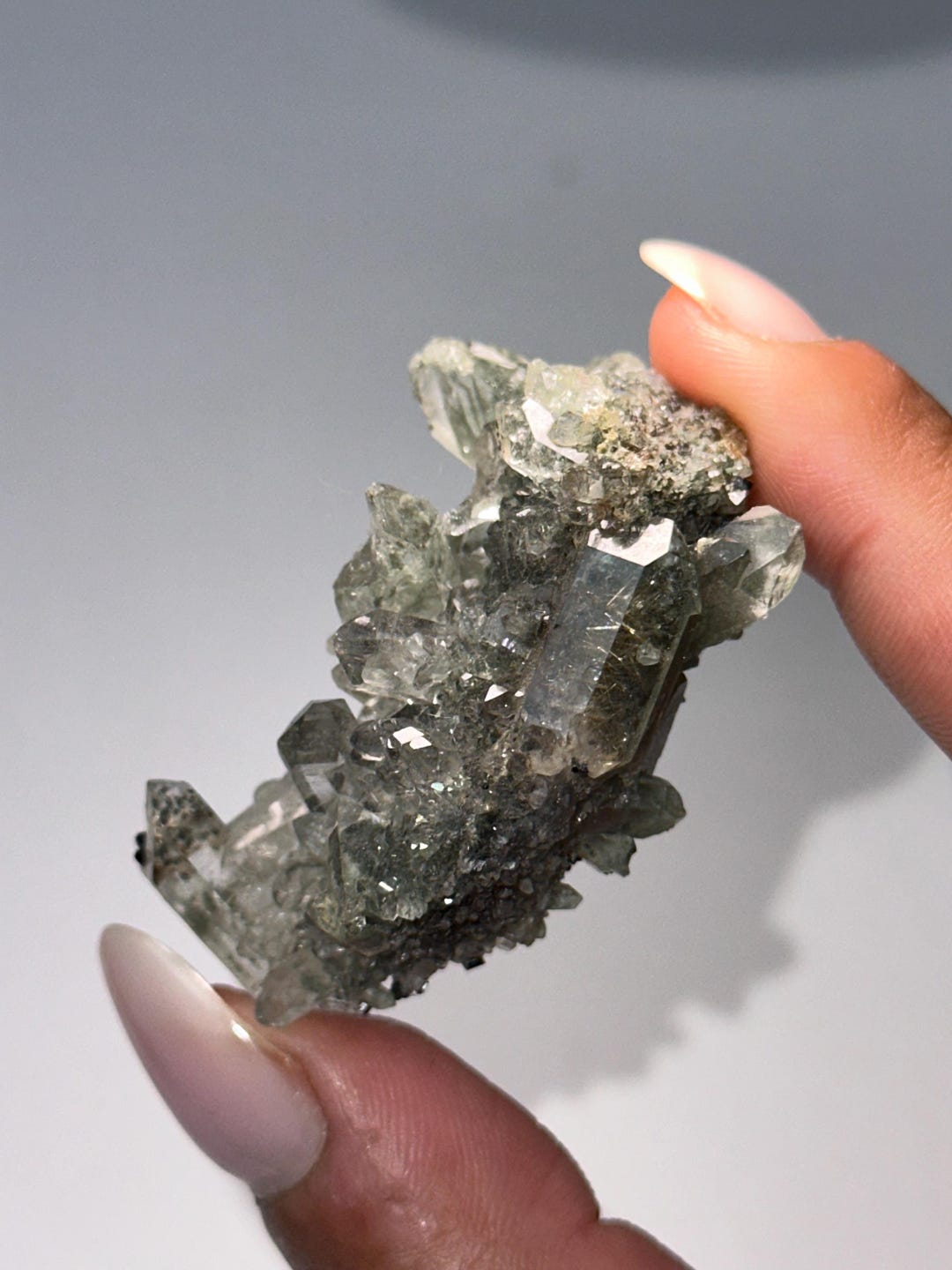 Optical Himalayan Quartz Cluster With Chlorite, Anatase & Gold Rutile ...