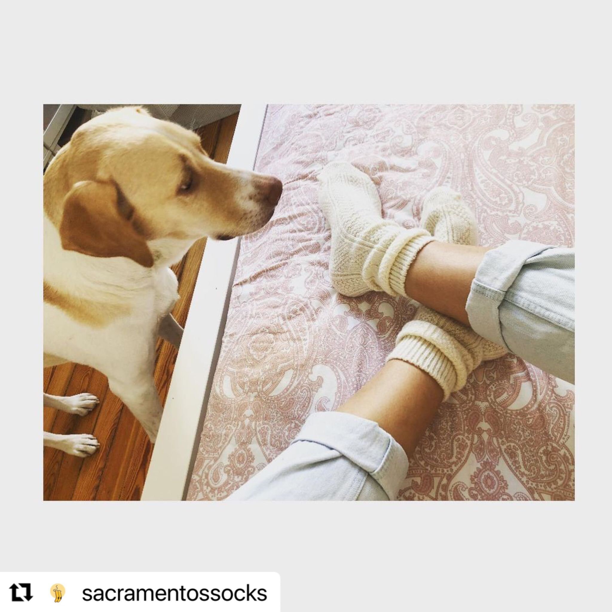 Over Knee Wool Socks Merino Wool Socks Long Wool Socks Women Knitted ...