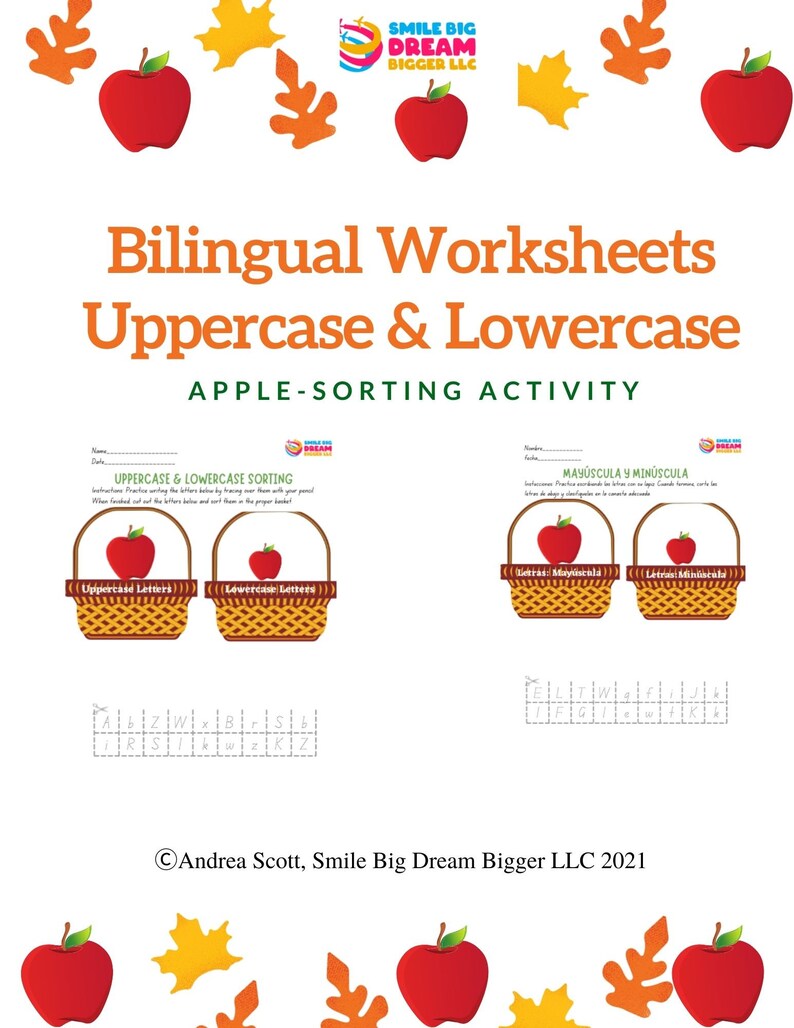 Alphabet-sorting Uppercase & Lowercase | Etsy