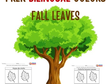 Spanish Colors Worksheet - Etsy