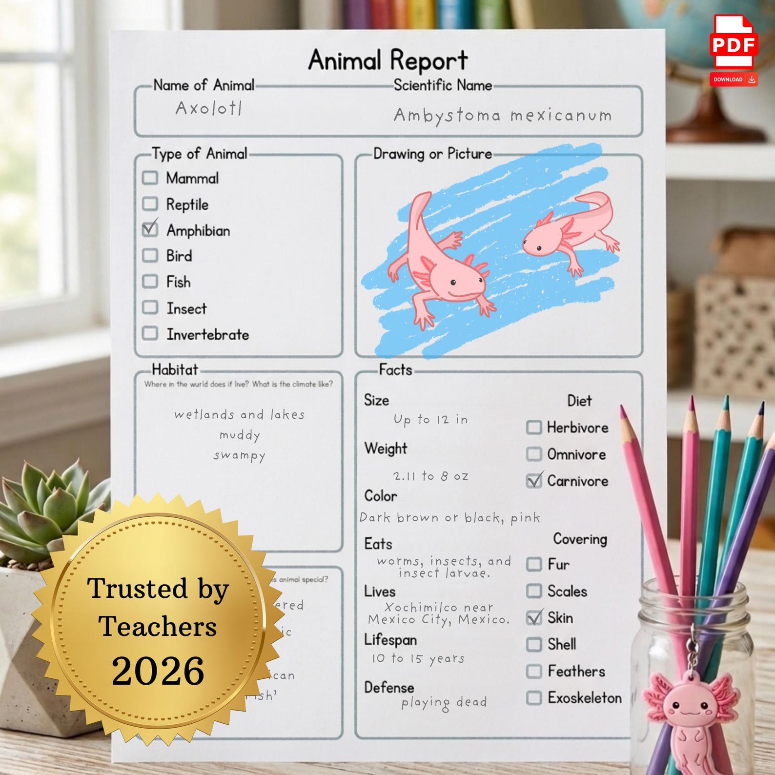 Animal Research Report Template | Homeschool Science Worksheet | Kids ...