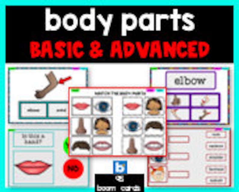 Body Parts Boom Cards Basic & Advanced - Etsy