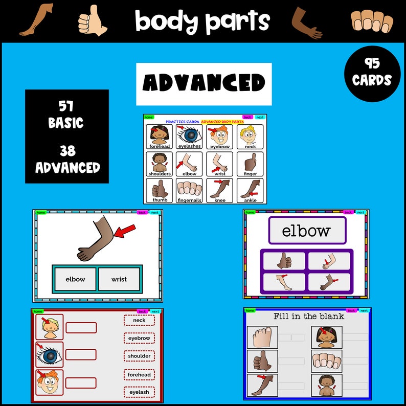 Body Parts Boom Cards Basic & Advanced - Etsy