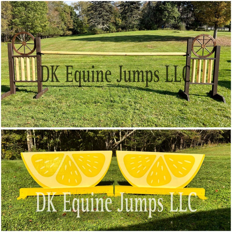Lemon Horse Jump Fillers - Etsy