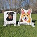 Horse Jump Fillers - Etsy