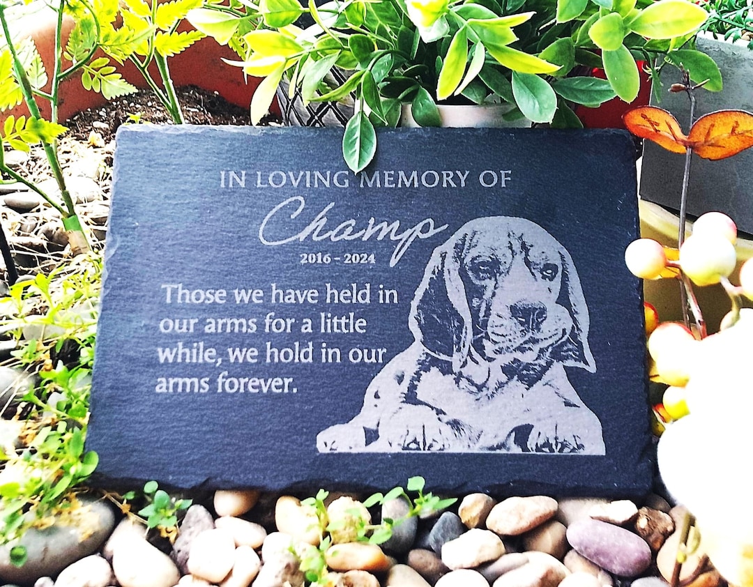 Custom Pet Memorial Plaque With Photo for Remembrance of Dog and Cat ...