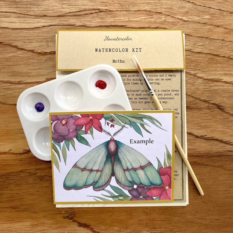 Watercolor Kits for Adults - Etsy