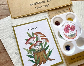 Moths Watercolor Kit, Beginner Watercolor, DIY Kit Watercolor, Paint ...