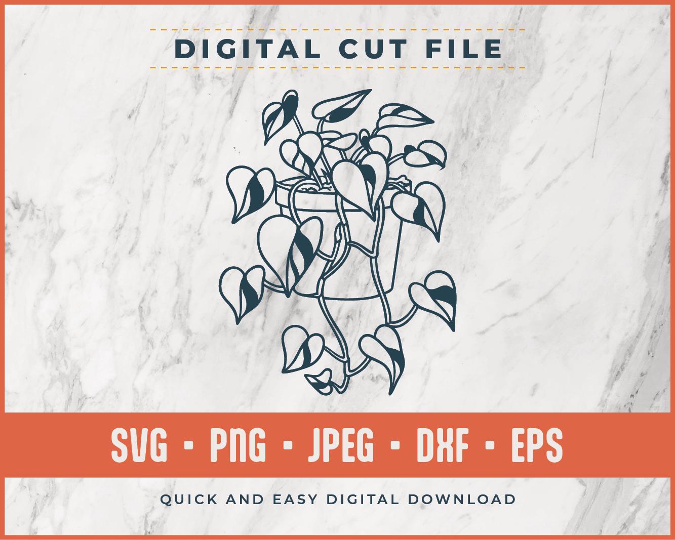 Pothos Plant SVG – Boho Houseplant Cut File for Cricut, Silhouette ...