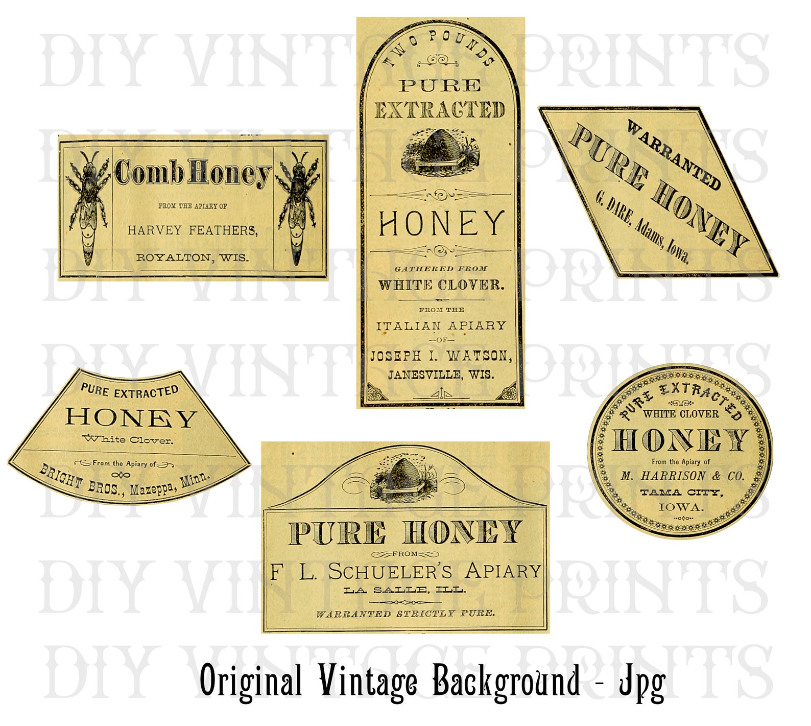 ANTIQUE HONEY LABELS, Victorian Ephemera, Printable Labels, Honeybee ...