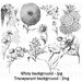 Vintage Flower Clipart: Floral Illustrations, Commercial Use (PNG, JPG ...