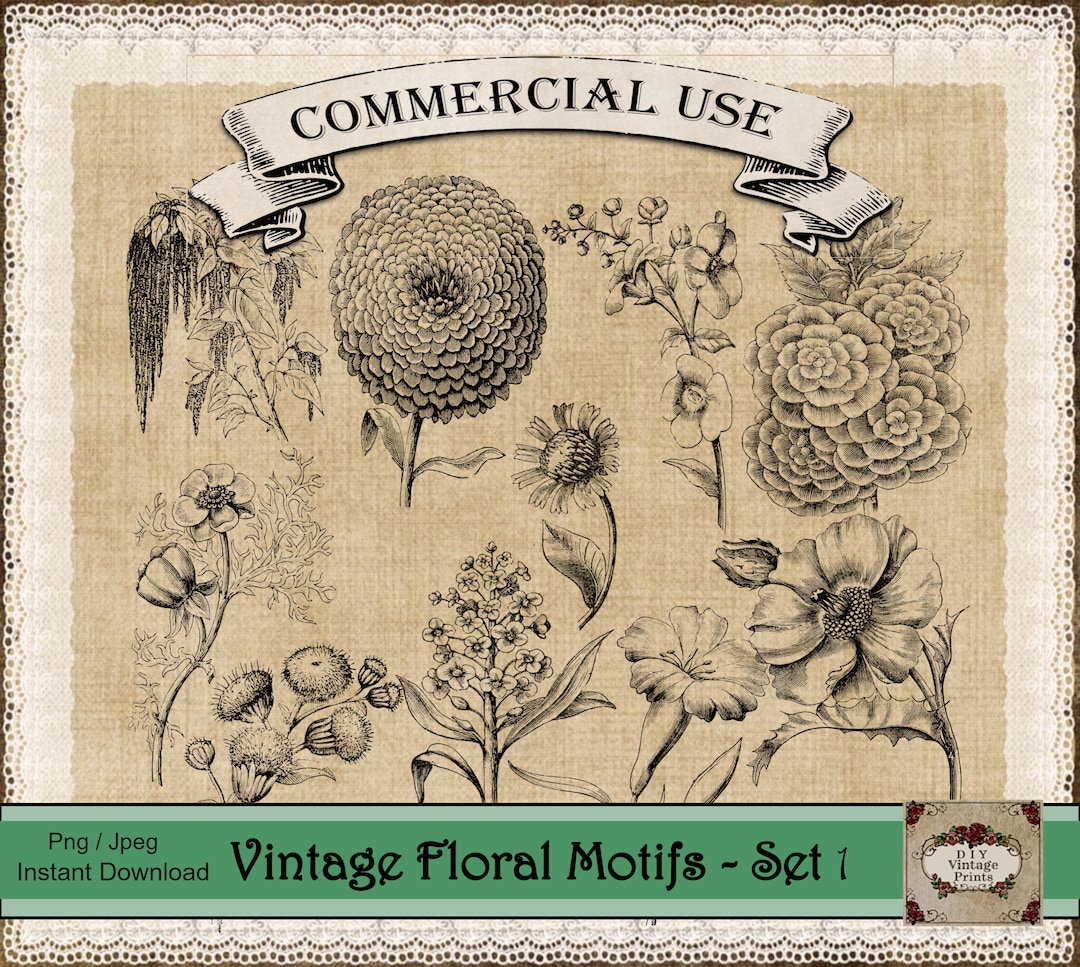 Vintage Flower Clipart: Floral Illustrations, Commercial Use (PNG, JPG ...
