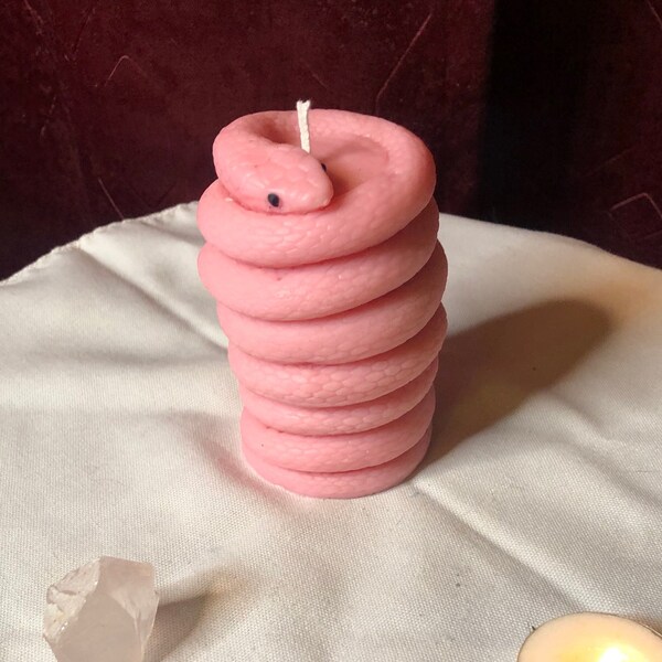 Snake Lover Gift - 60+ Gift Ideas for 2024