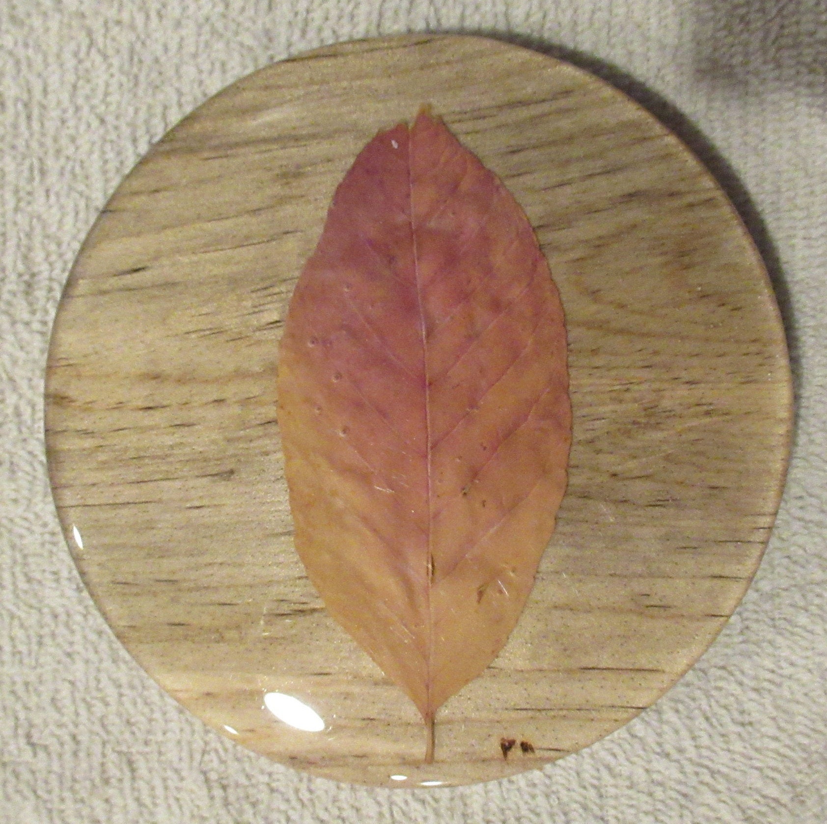 Leaf Collection - Wooden Epoxy Coasters With Cork Bottom - Etsy