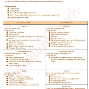 Praxis Review Sheet - Etsy