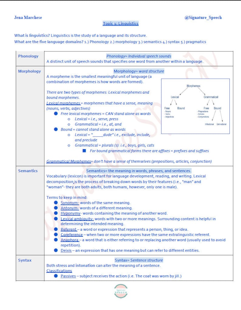 Praxis Review Sheet - Etsy