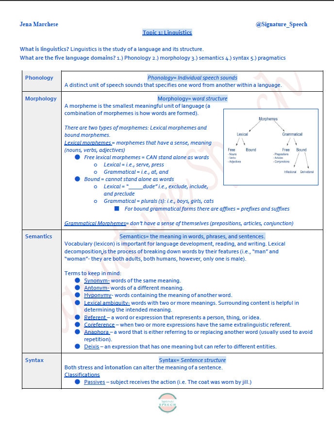 Praxis Review Sheet - Etsy