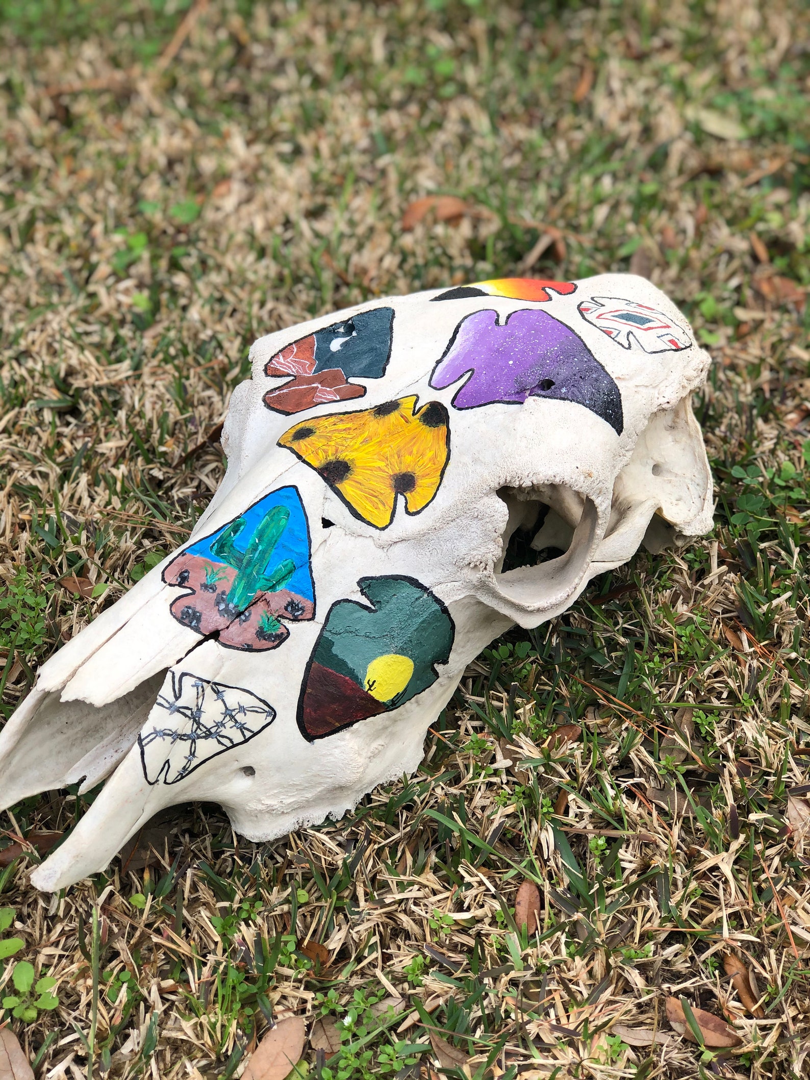 REAL Hand Painted Cow Skull Arrow Heads - Etsy