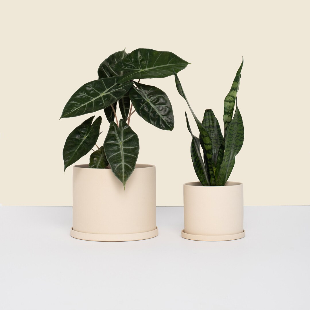 Beige Ceramic Plant Pot Set: Modern Indoor Planters With Saucers - Etsy