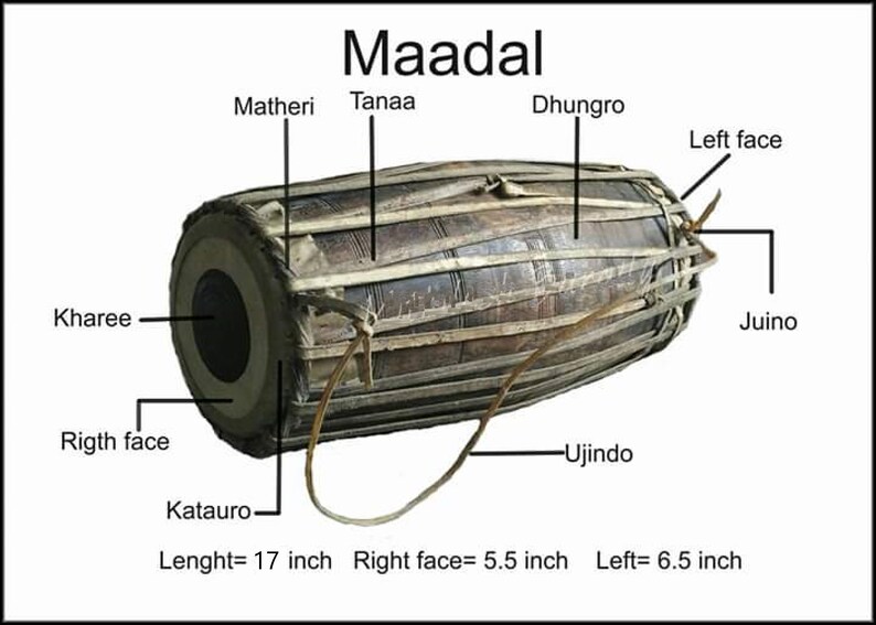 Madal Drum Wooden Nepali Folk Instrument Authentic 17 IN X-large Drum, Musical Instrument for ...
