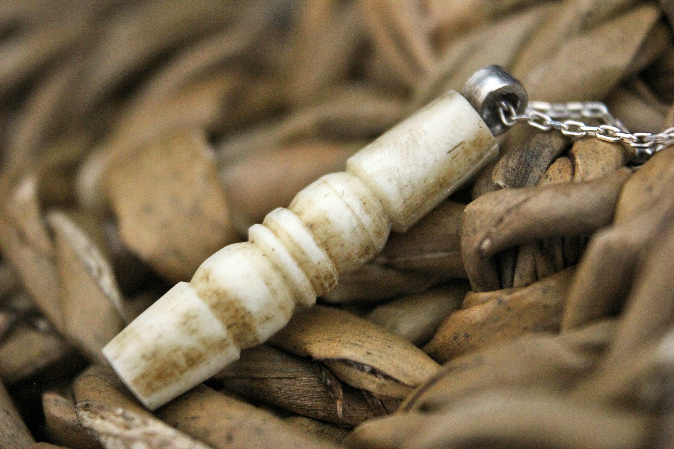 Real Animal Bone Necklace Pendant/animal Jewelry/gothic | Etsy UK