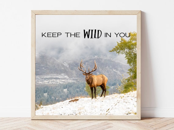 White Elk Quotes 74 Inspiring Rainbow Quotes To Bring Color To Your