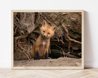 Cute Baby Fox Photo Print Metal Photo Print Fox Gift Fox - Etsy