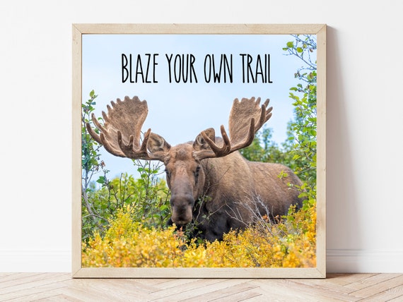 Inspirational Quote Print-moose Print-moose Photo-adventure - Etsy