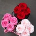 Preserved Flowers Roses | VALENTINE'S DAY | 4 Roses in a Box | Eternal ...