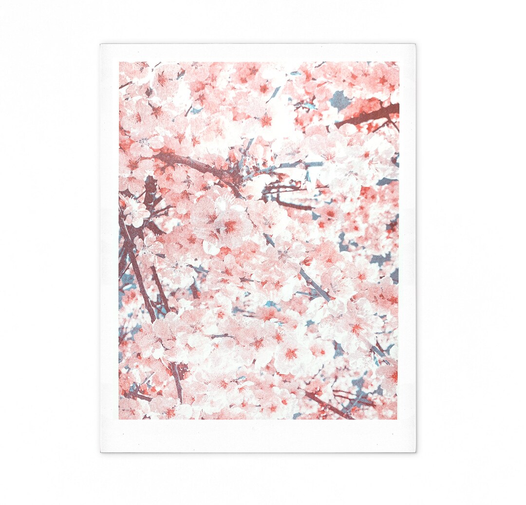 Yoshino Cherry Blossom Risograph Art Print Flower Petals - Etsy
