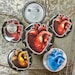Big Human Heart Button - Etsy
