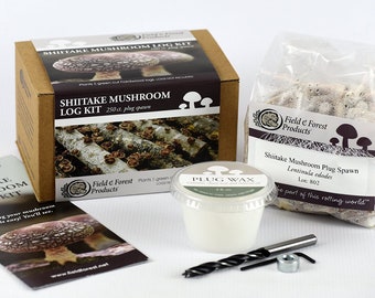 Shiitake Mushroom Plug Spawn 100x FREE USA Shipping - Etsy