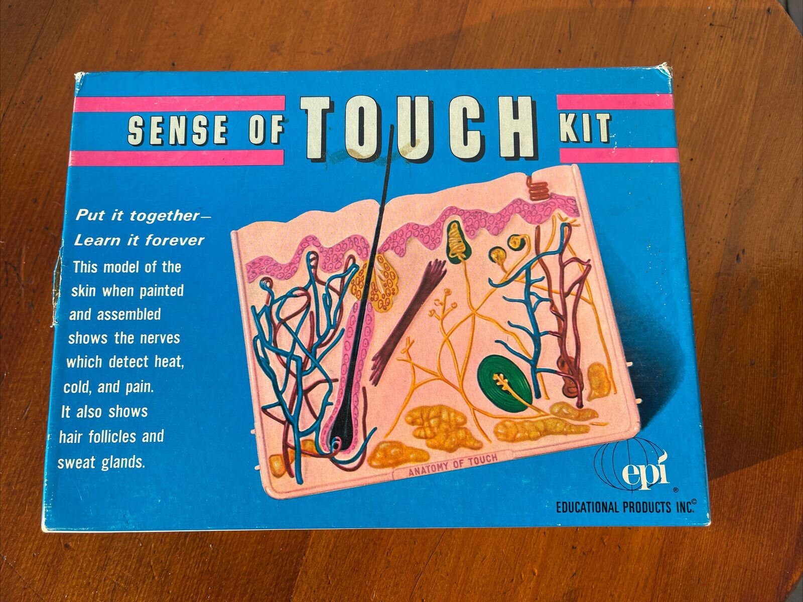 Sense Of Touch For Kids