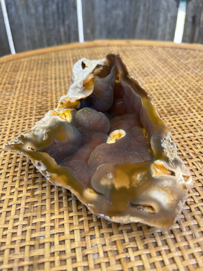 Agatized Coral, Coral Agate, Florida Agate - Etsy