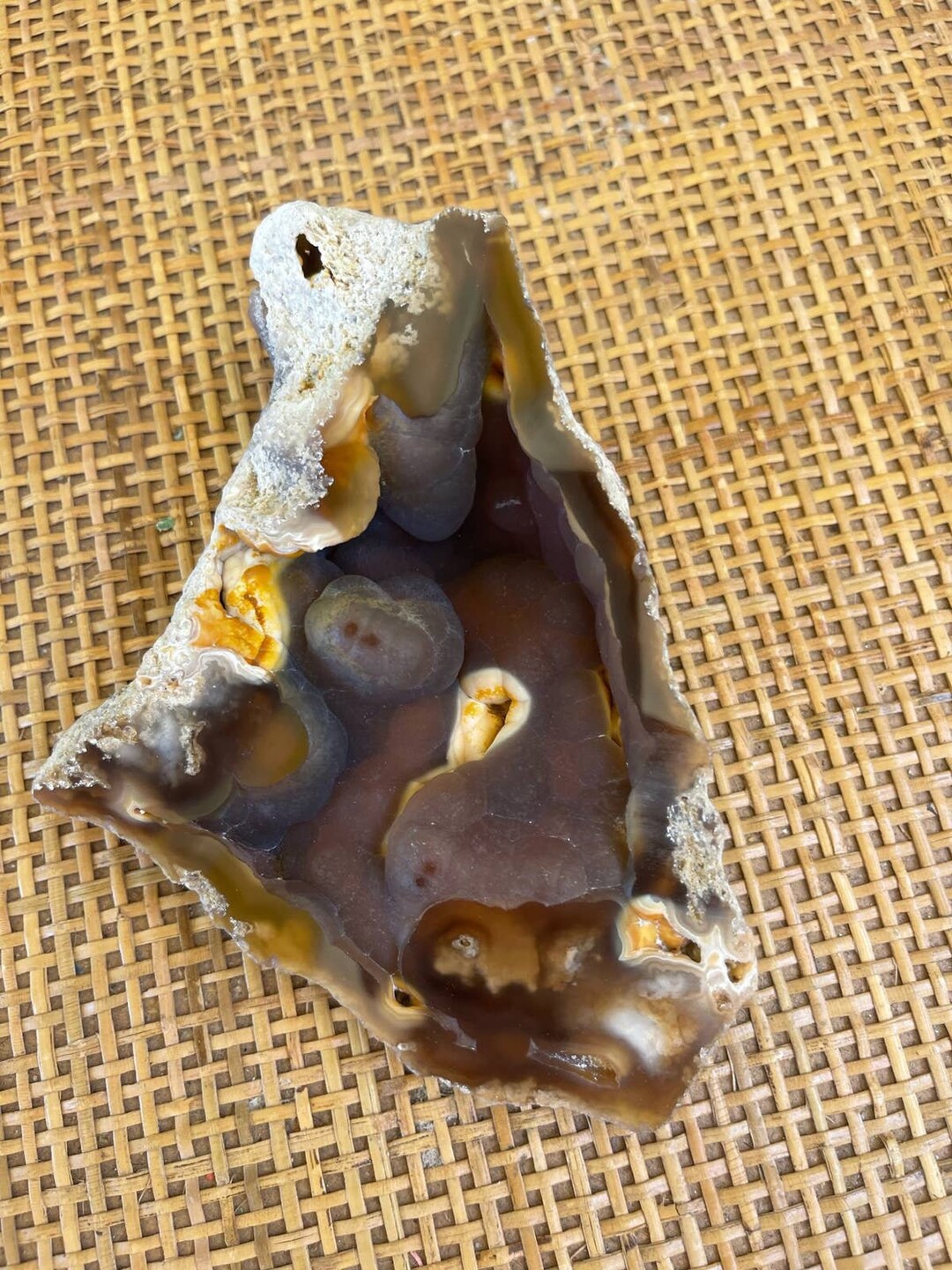 Agatized Coral, Coral Agate, Florida Agate - Etsy