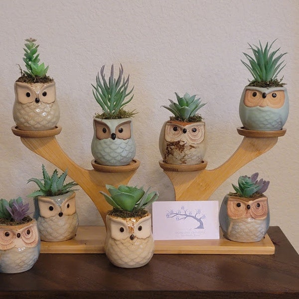 Owl Kitchen Decor - Etsy