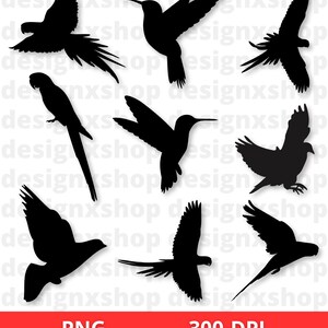 Flying Bird Svg, Bird SVG, Bird Svg Bundle, Animal Svg, Bird Clip Art ...