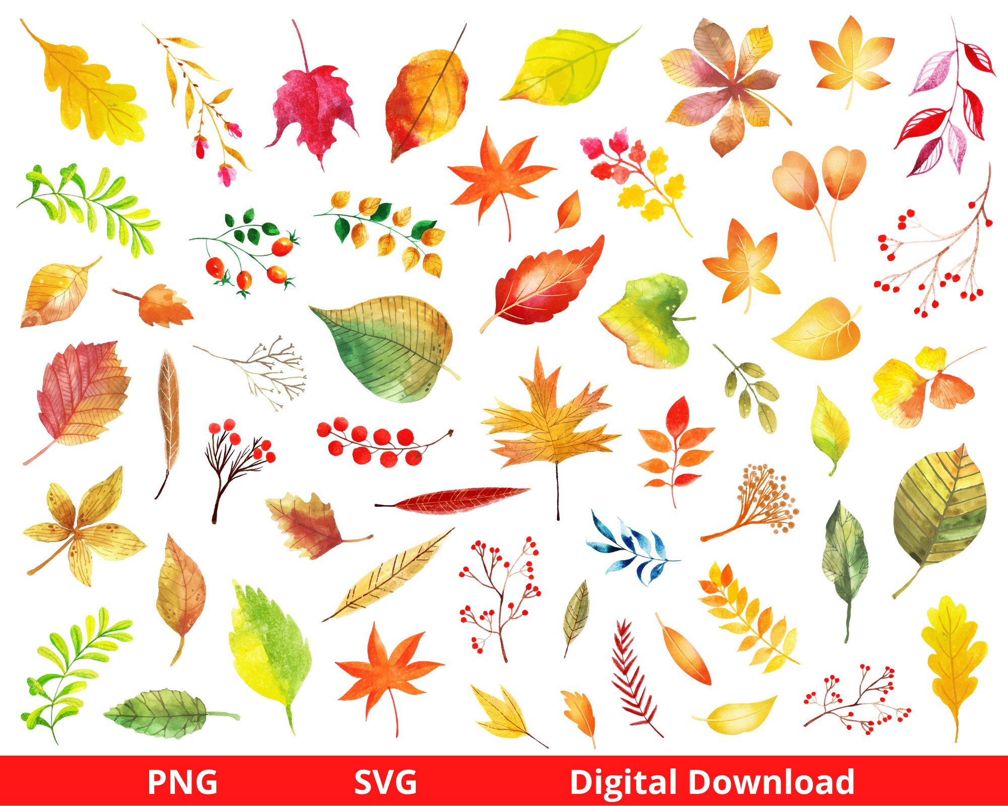 Watercolor Autumn Leaves Clipart Fall Leaves Clipart - Etsy
