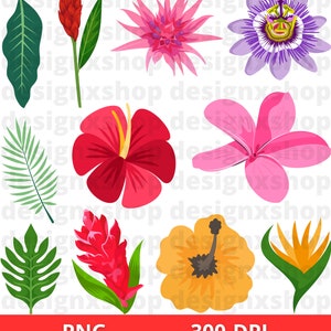Tropical Flower Svg, Tropical Flower Clipart, Hawaiian Flower Svg ...
