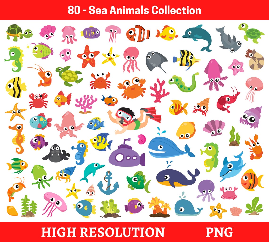Sea Animals Clipart Sea Life Clipart Ocean Animal Clipart - Etsy