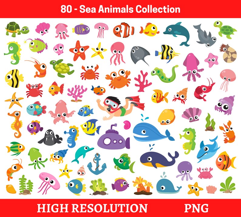Sea Animals Clipart Sea Life Clipart Ocean Animal Clipart - Etsy